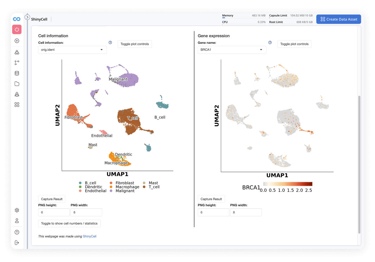 Code Ocean software overview | Code Ocean